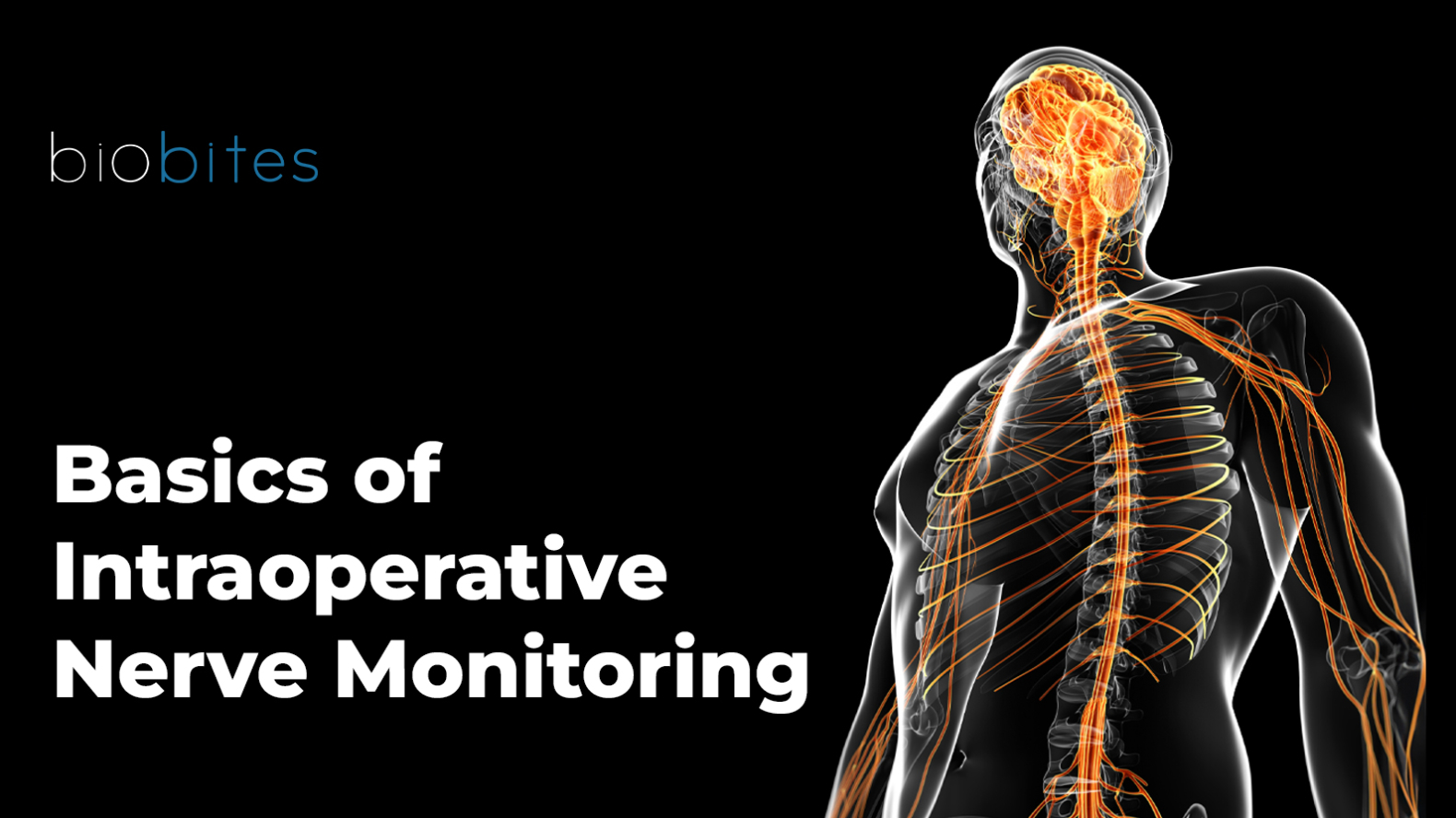 Basics of Intraoperative Nerve Monitoring - Biosys
